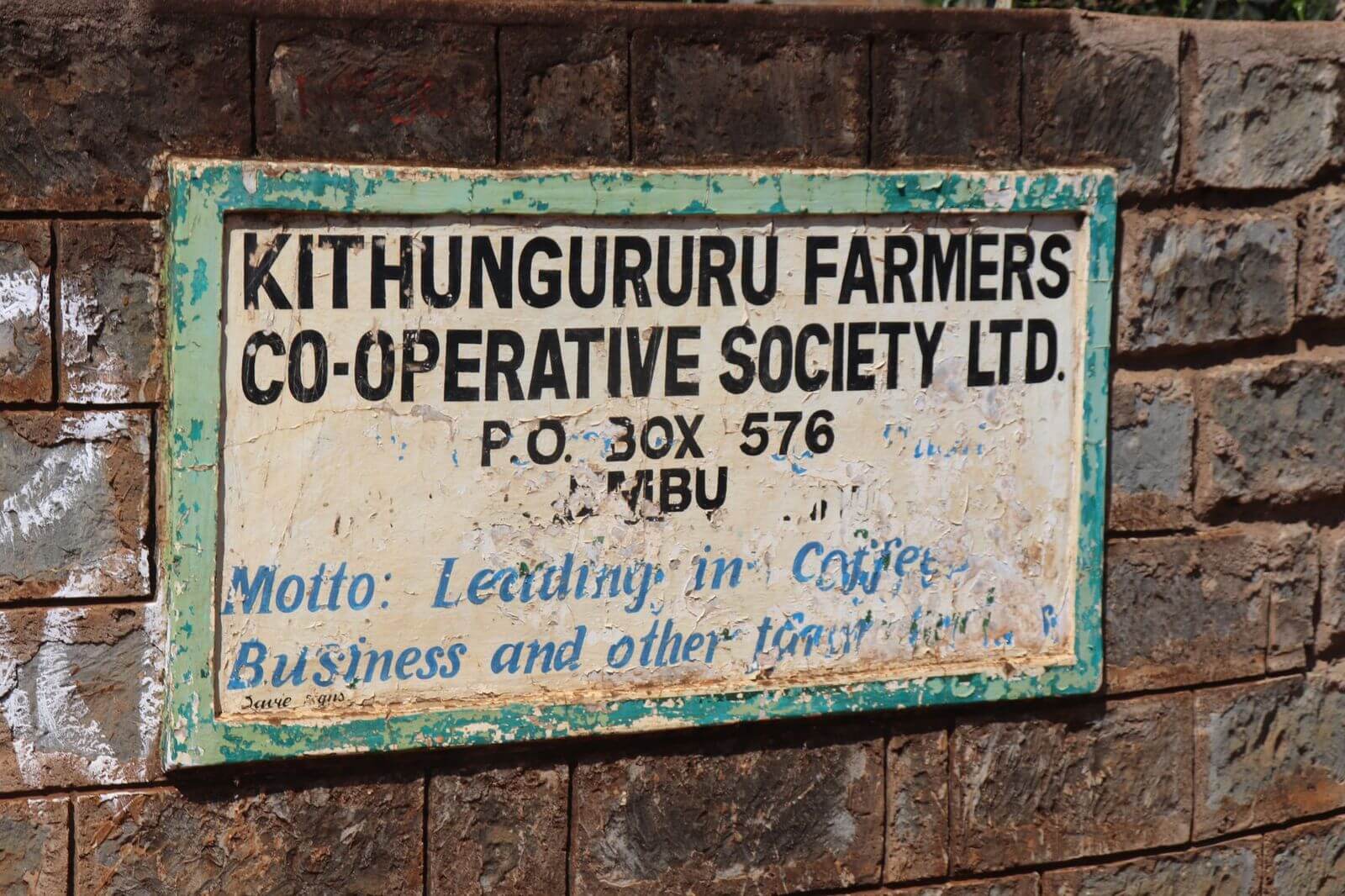 ケニアの新豆が入荷しました | TABEI COFFEE