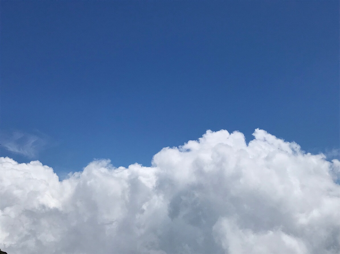 お盆中の営業について | TABEI COFFEE