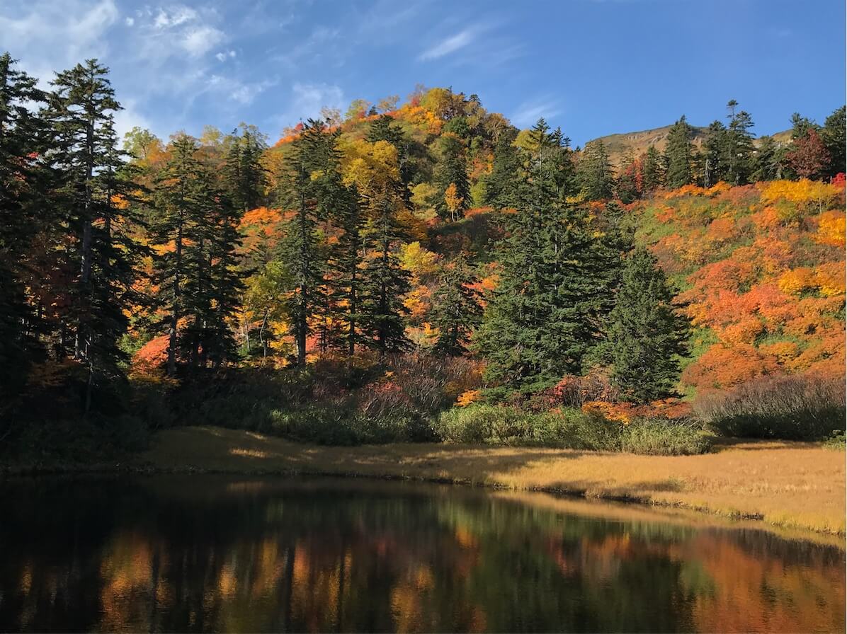 11月のお休みのお知らせ | TABEI COFFEE