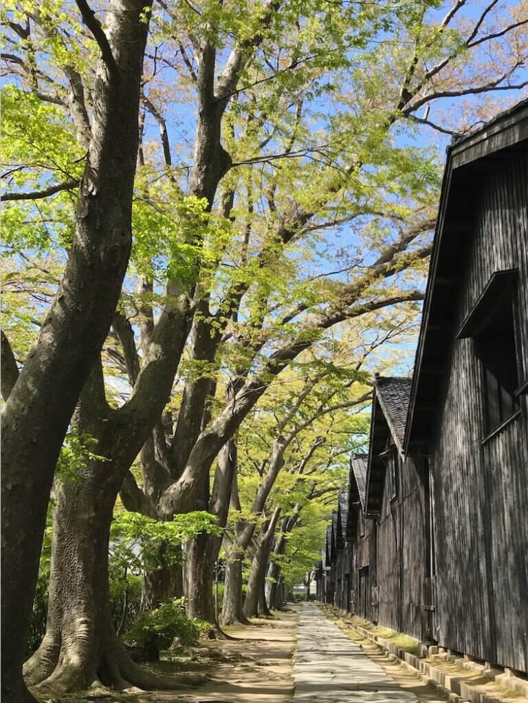 5月のお休みのお知らせ | TABEI COFFEE