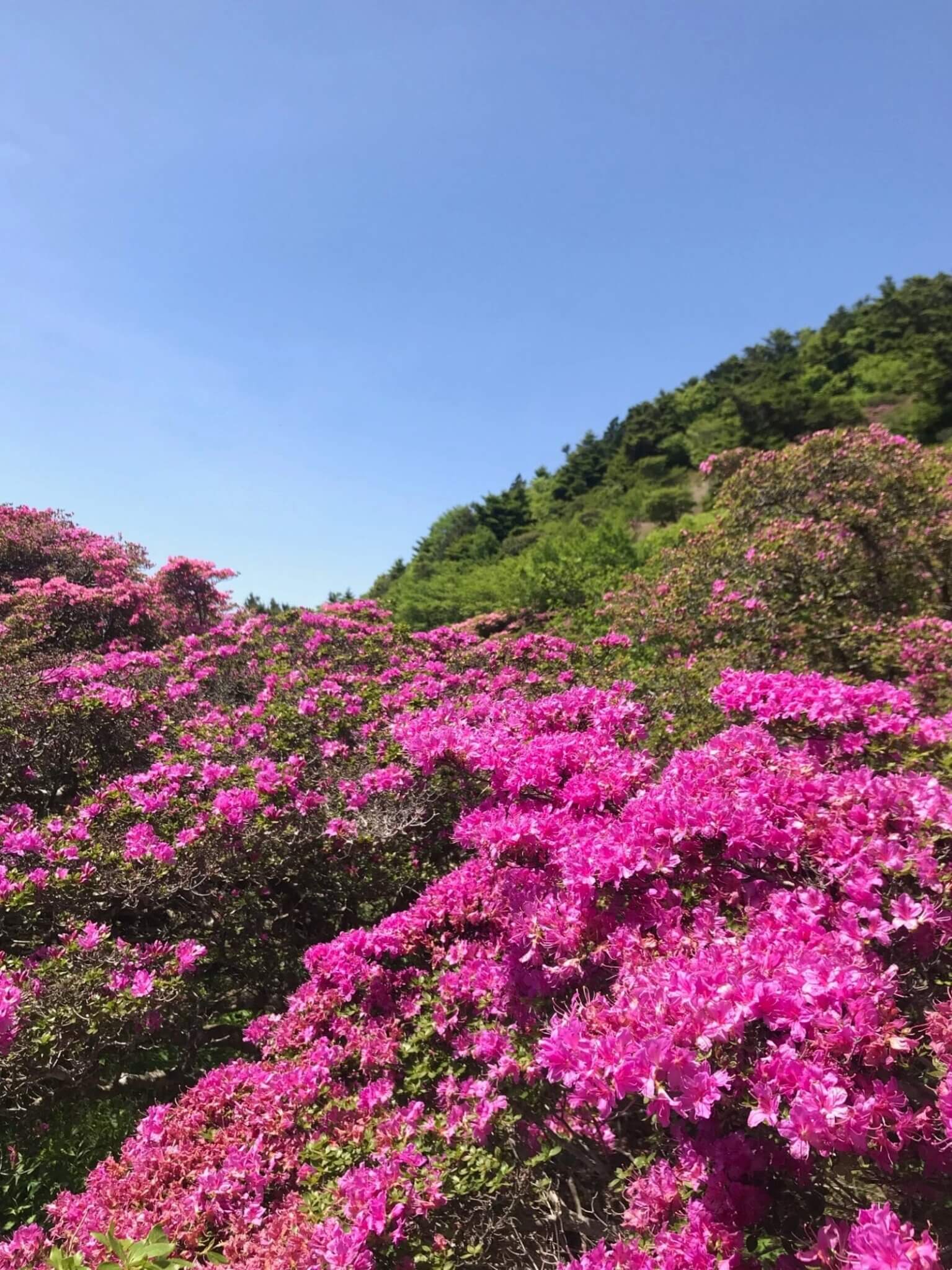 GW期間の営業について | TABEI COFFEE